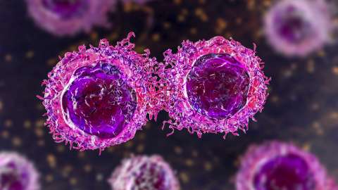 About Us | UCLA Health Jonsson Comprehensive Cancer Center