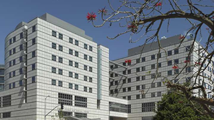 Wellness Stories - Innovation | UCLA Health