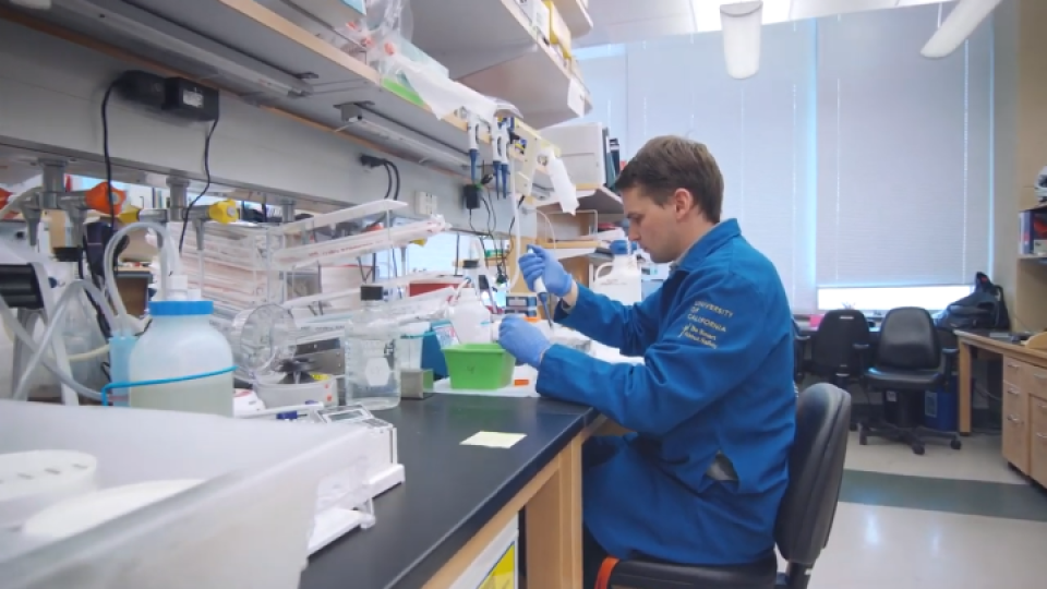 UCLA Dr. Allen and Charlotte Ginsburg Center for Precision Genomic ...