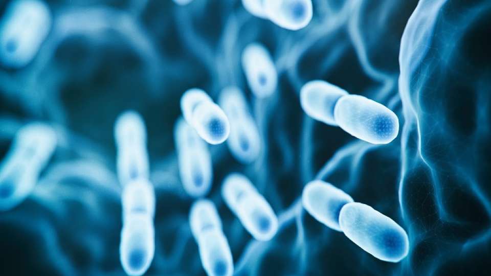 Microbiome | UCLA Health