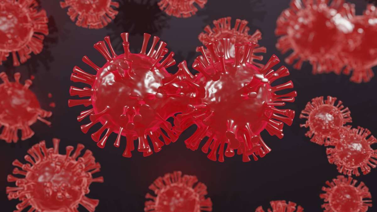 What you need to know about the new coronavirus variant | UCLA Health