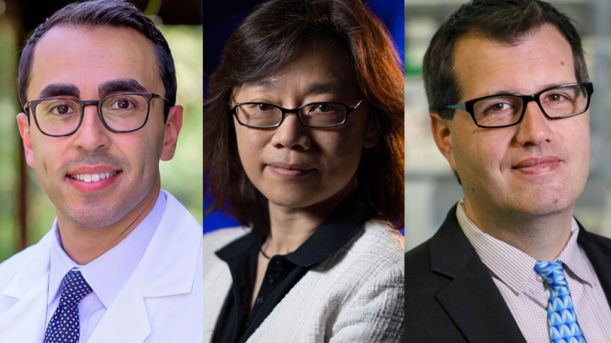 Three researchers join UCLA to propel cancer research and innovation ...