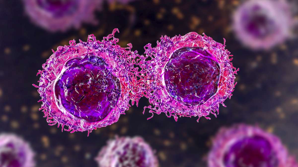 UCLA researchers develop mechanism for characterizing function of rare ...