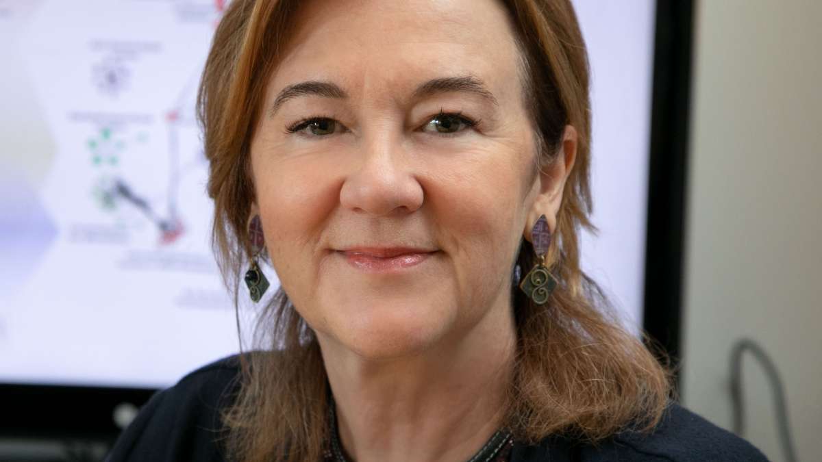 UCLA scientists create a renewable source of cancer-fighting T cells ...