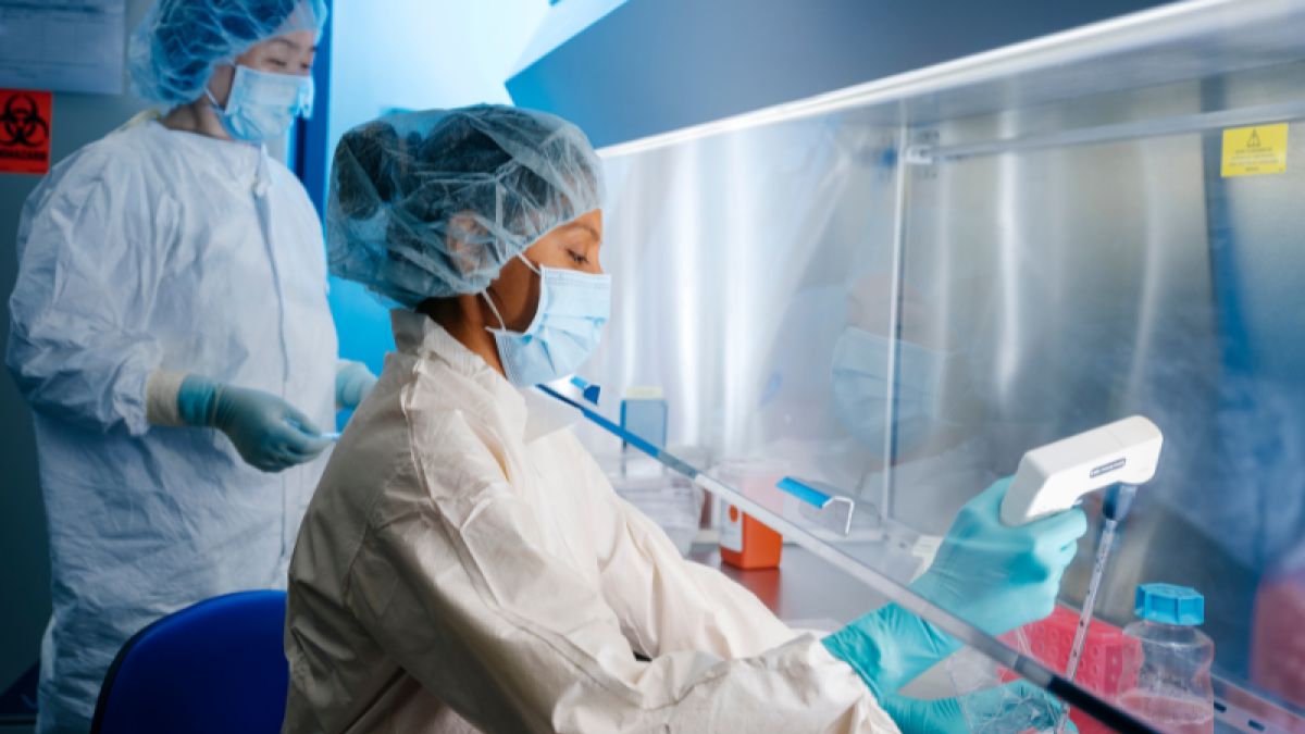 The Translational Cell Therapy Lab at UCLA: Advancing cell therapies ...