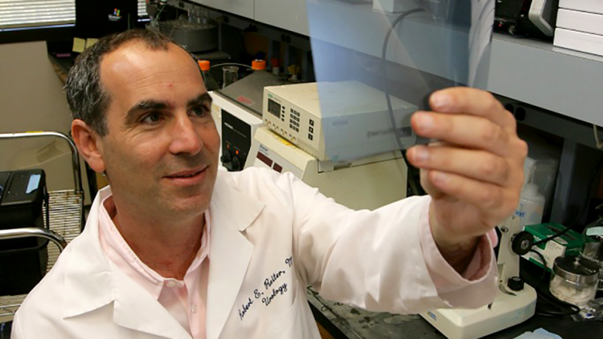 Prostate cancer researchers receive awards to develop therapies | UCLA ...