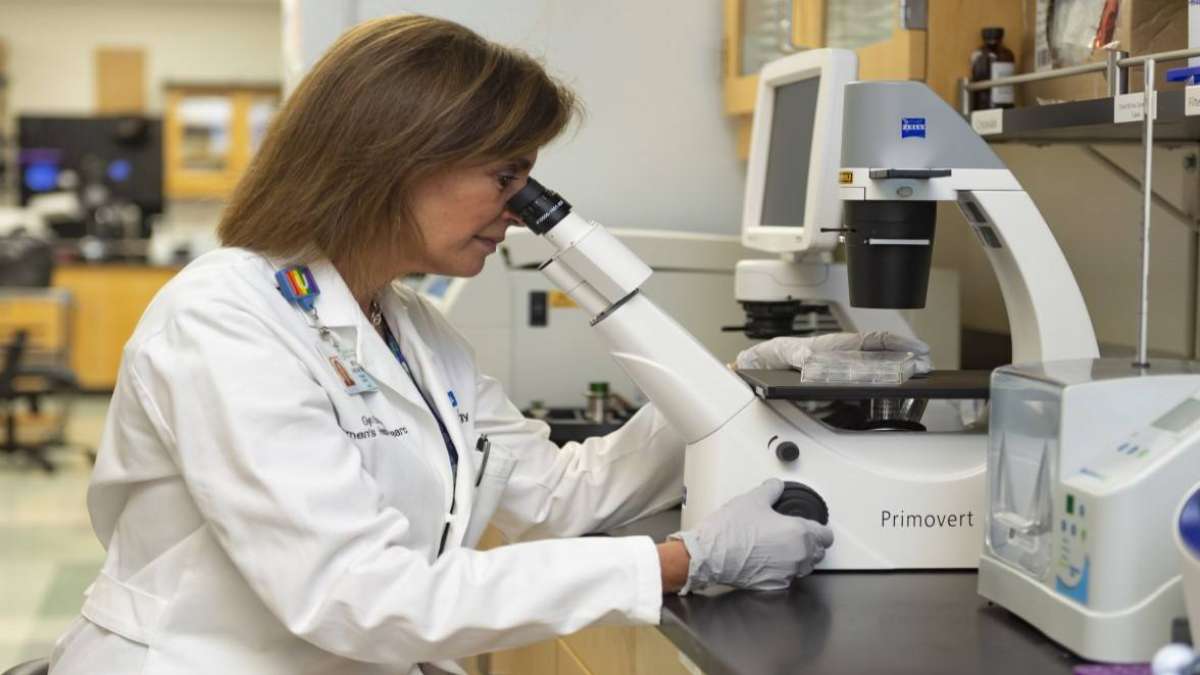 Model co-created by UCLA Health's Dr. Beth Karlan provides platform for ...