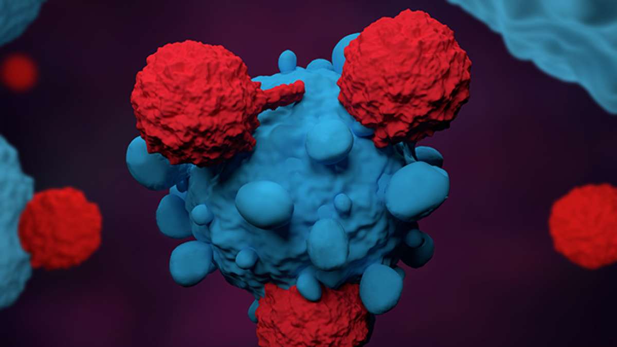 What is immunotherapy? | UCLA Health