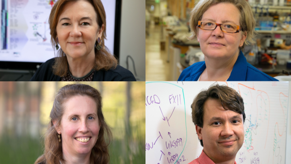 UCLA scientists receive $5.7 million in CIRM grants to advance stem ...