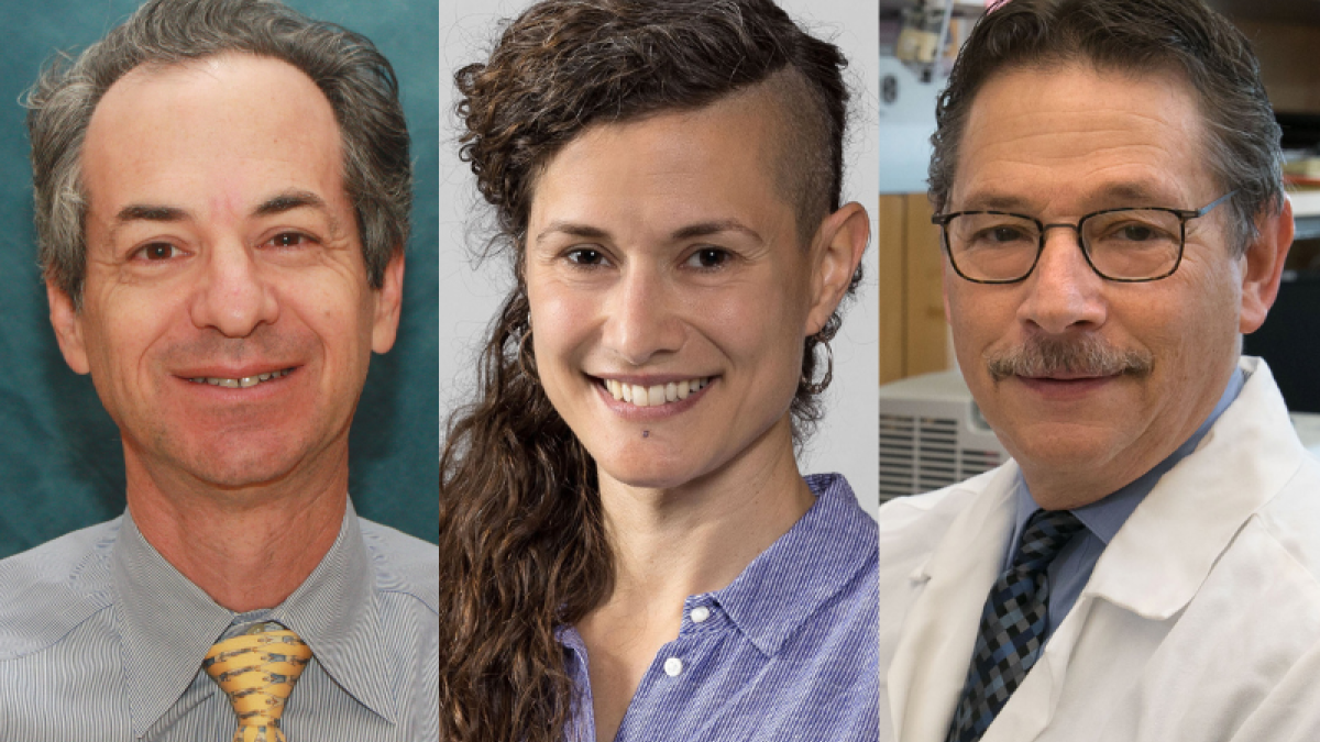 UCLA scientists receive $16.1 million in CIRM grants to advance novel ...