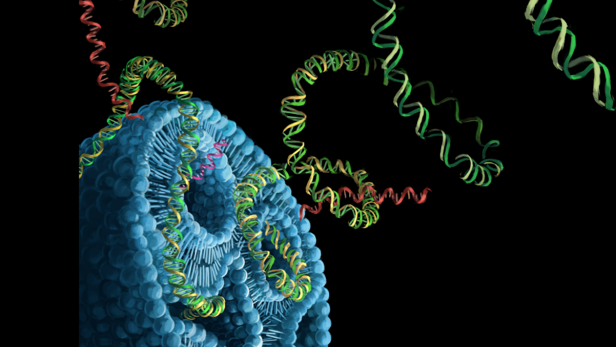 Nanoparticle-based gene editing could expand treatment options for ...