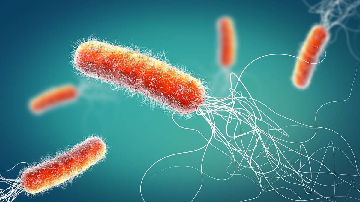 Pseudomonas bacteria prevalent in health care settings | UCLA Health
