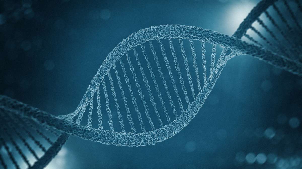 Genetic testing can reveal the path forward for people at high risk of ...