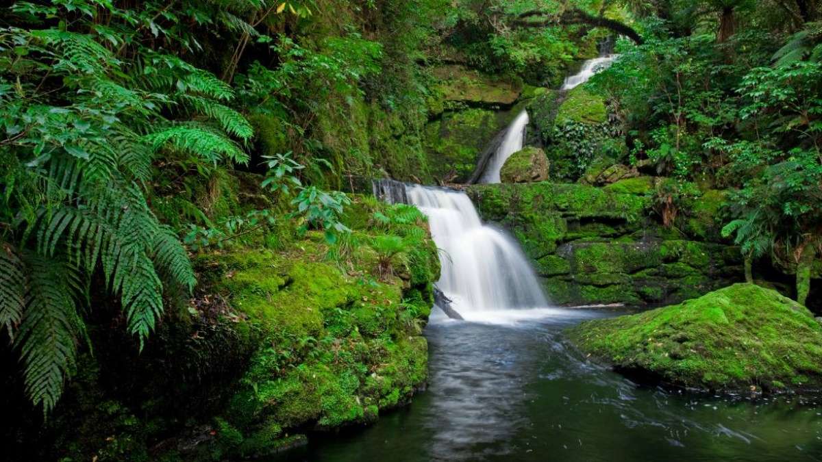 Freshwater amoeba is rare but deadly | UCLA Health