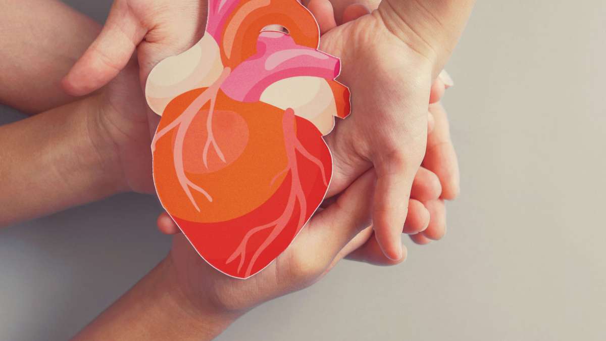 UCLA pediatric heart-transplant program performs historic 500th ...