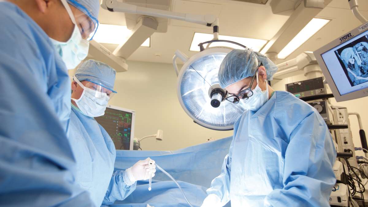 UCLA Health urologists will showcase groundbreaking research at the ...