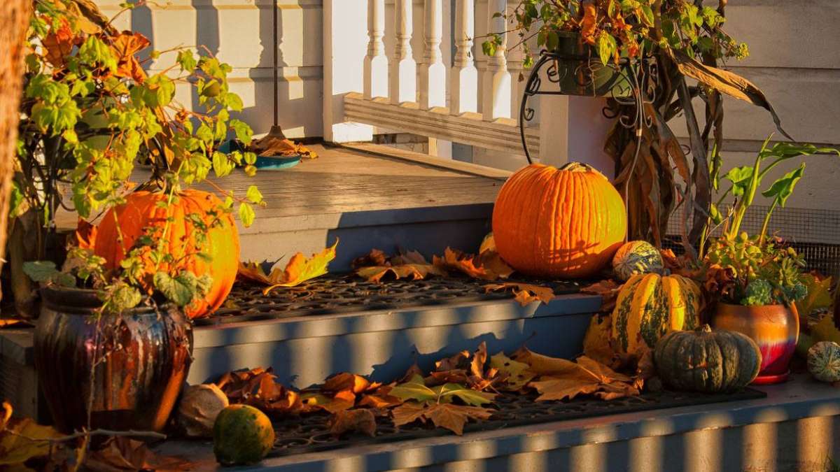 Tips for safe celebrations this fall | UCLA Health