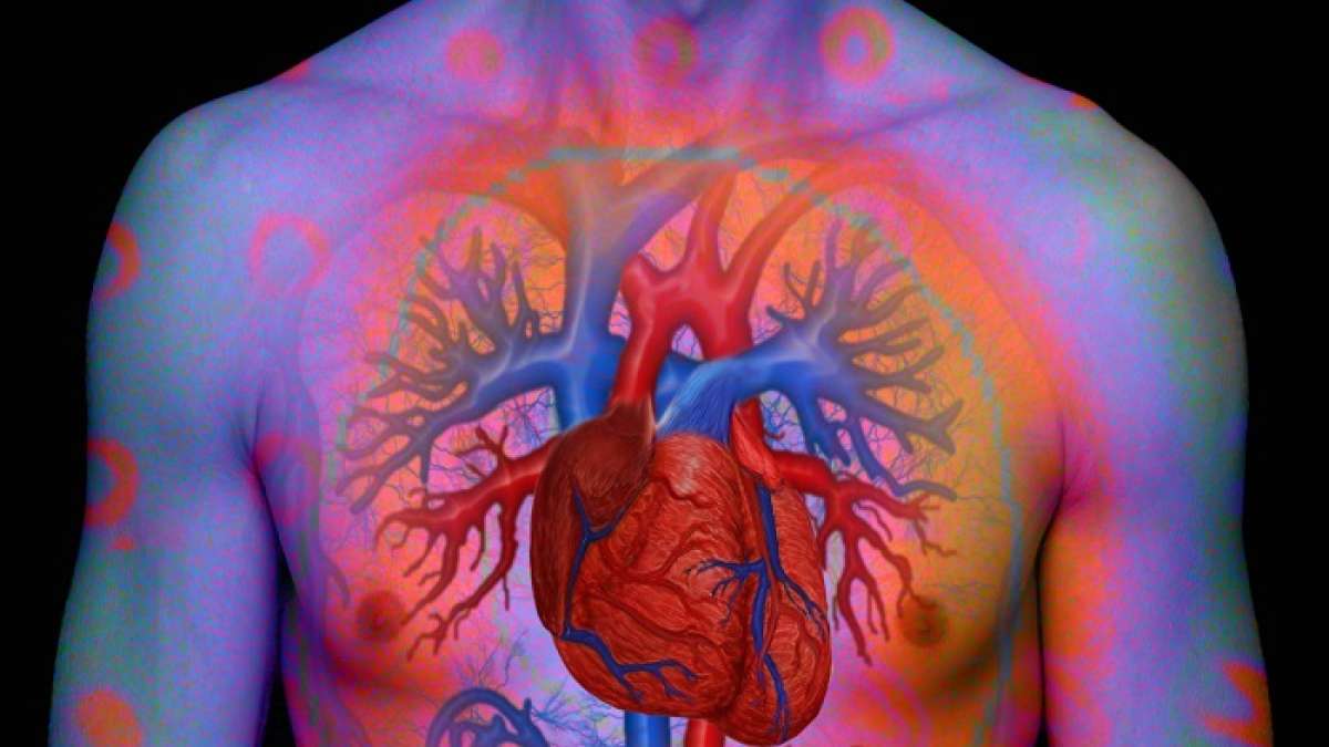UCLA-led team finds a stem-cell derived mechanism that could lead to ...