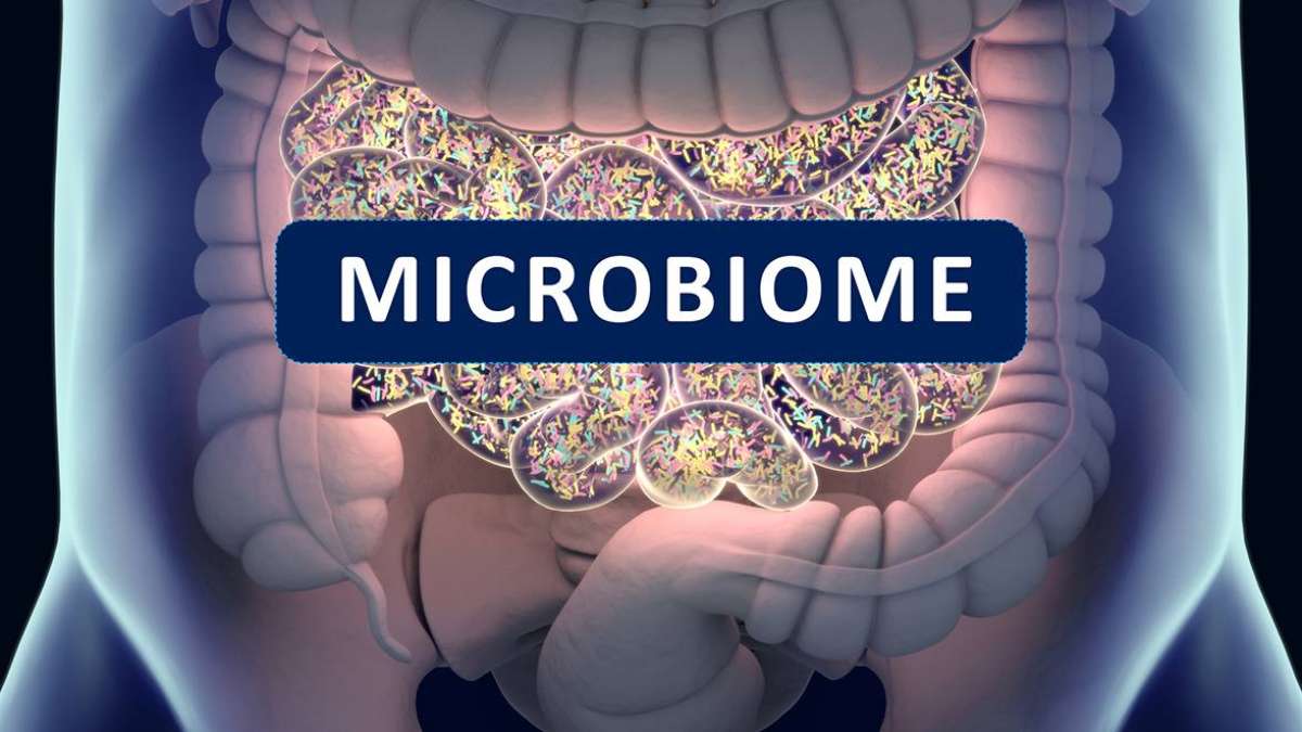 human microbiome