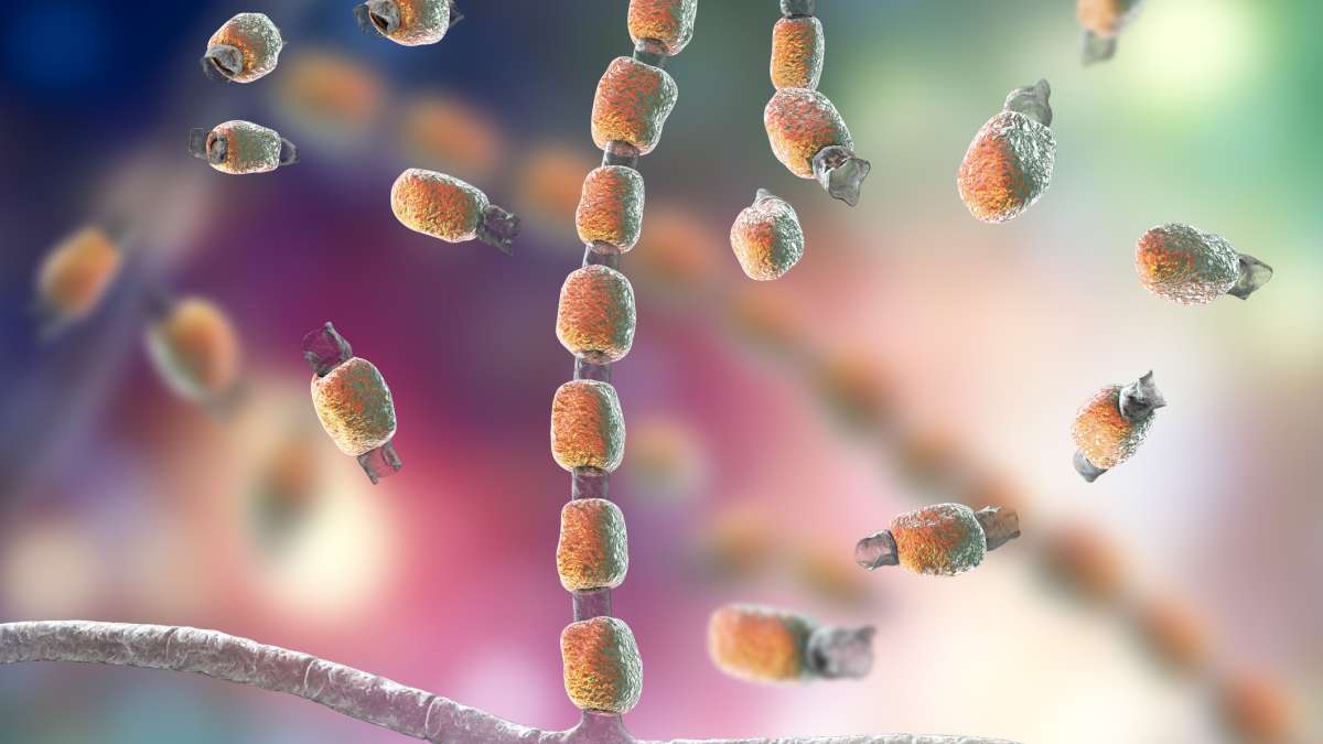 Weather conditions have led to a rise in Valley Fever cases. | UCLA Health