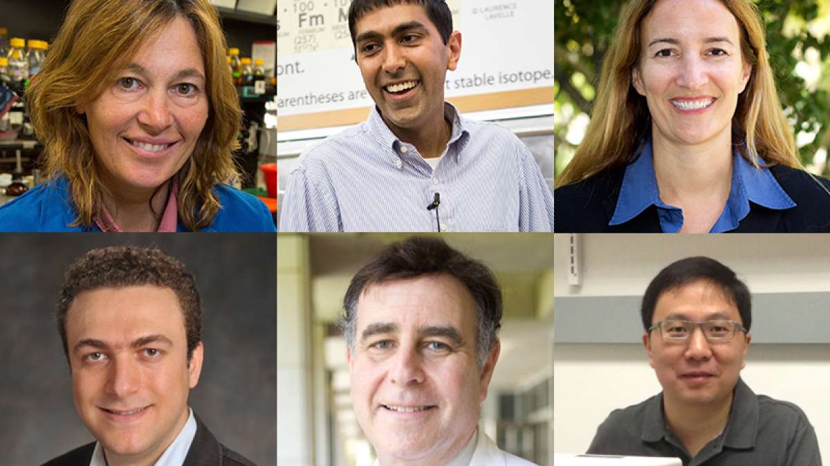 Six UCLA professors named fellows of the American Association for the ...