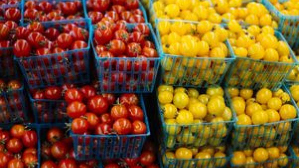 Trailblazing solutions to global food crisis | UCLA Health