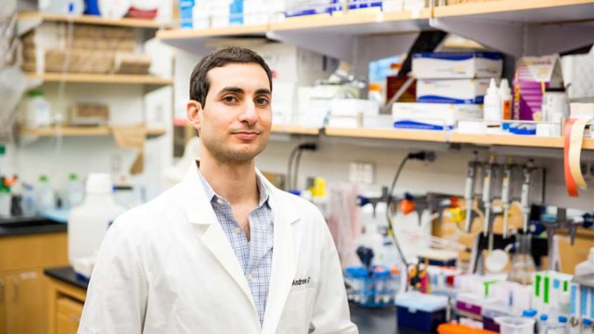 Prostate cancer stem cells are a moving target, UCLA researchers say ...