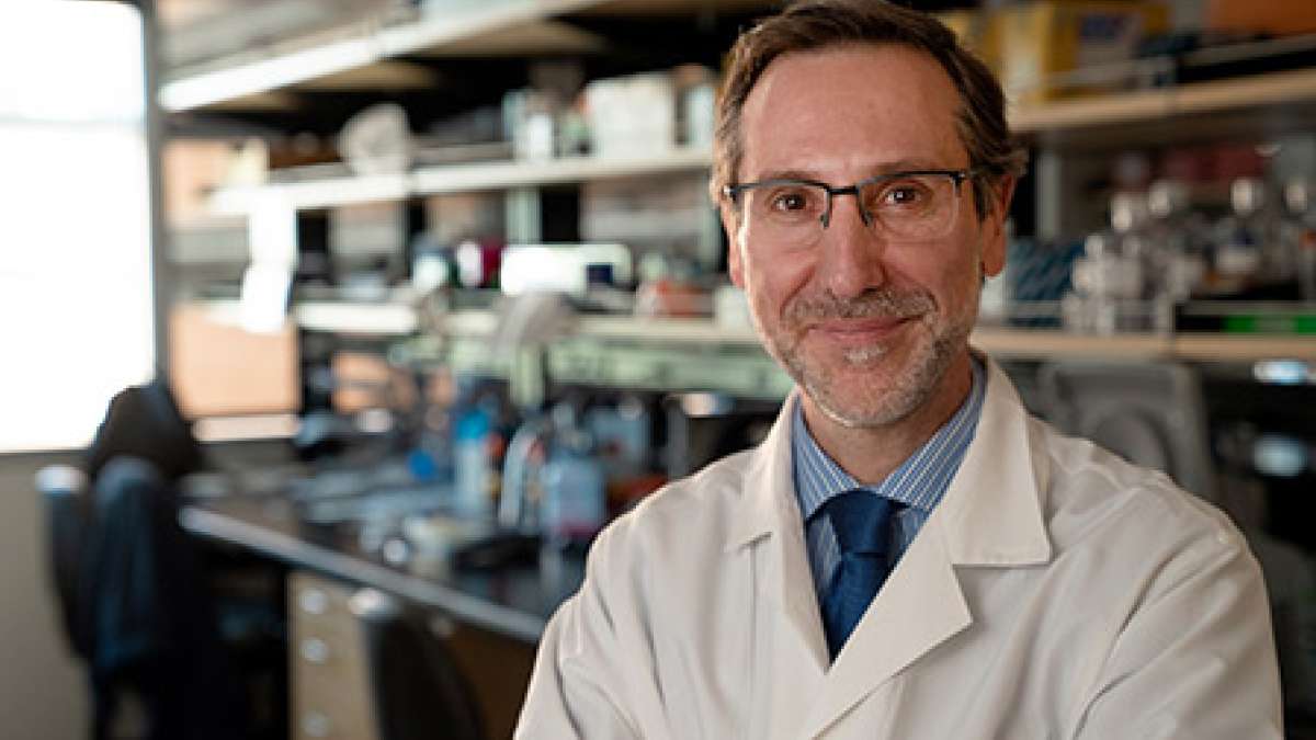 Immunotherapy pioneer honored by European cancer organization | UCLA Health