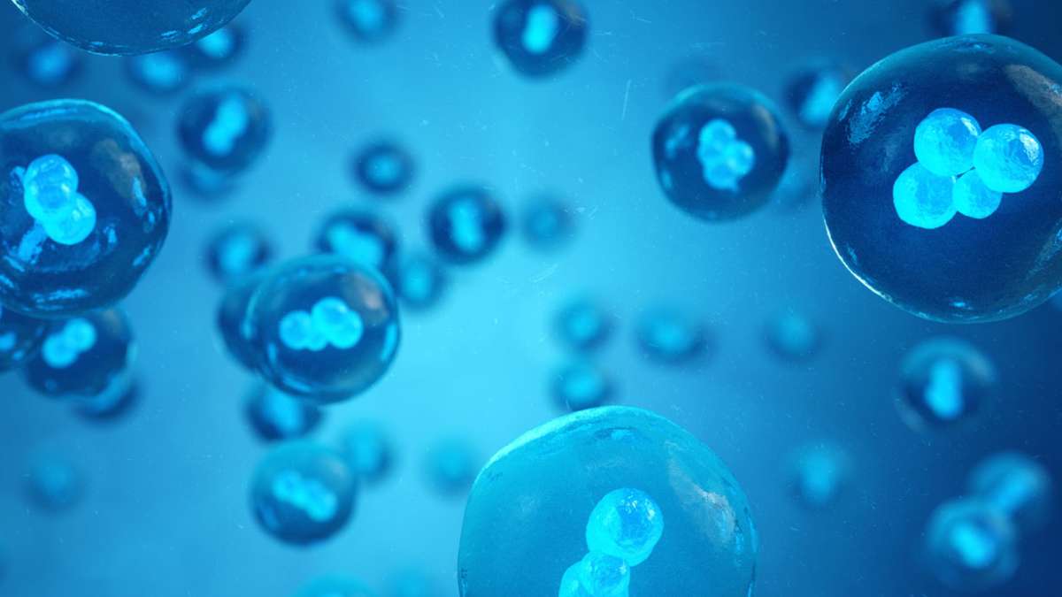 In a ‘rapid autopsy’ study, UCLA researchers identify lethal molecular ...