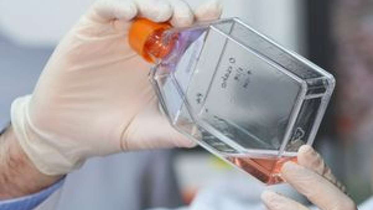 New University of California Cancer Consortium to tackle state’s second ...