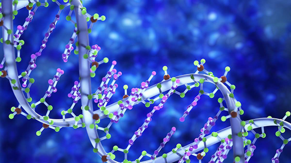 UCLA Health receives $29 million gift to establish center in precision ...