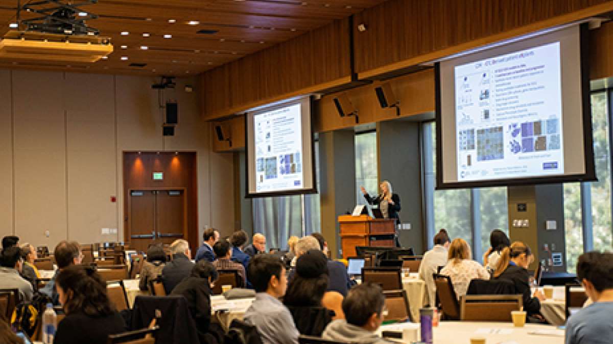 UCLA precision health experts aim to transform prevention and treatment ...