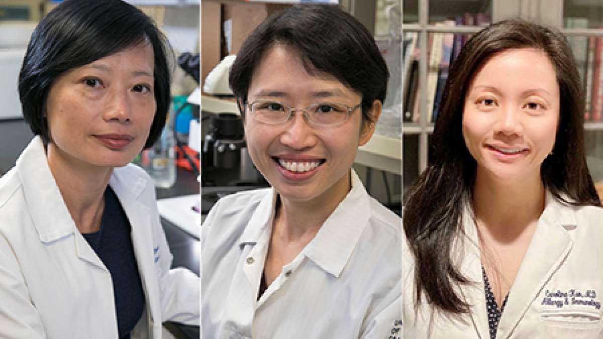 Three UCLA scientists receive grants totaling more than $18 million ...