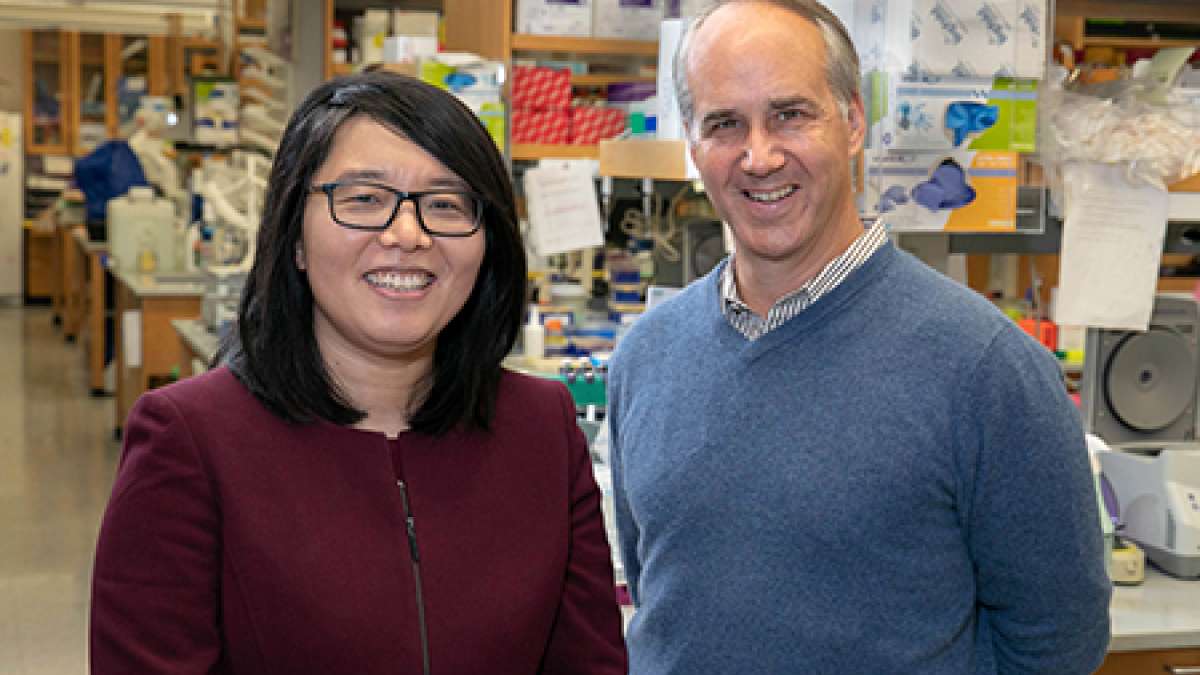 UCLA-led team uncovers critical new clues about what goes awry in ...