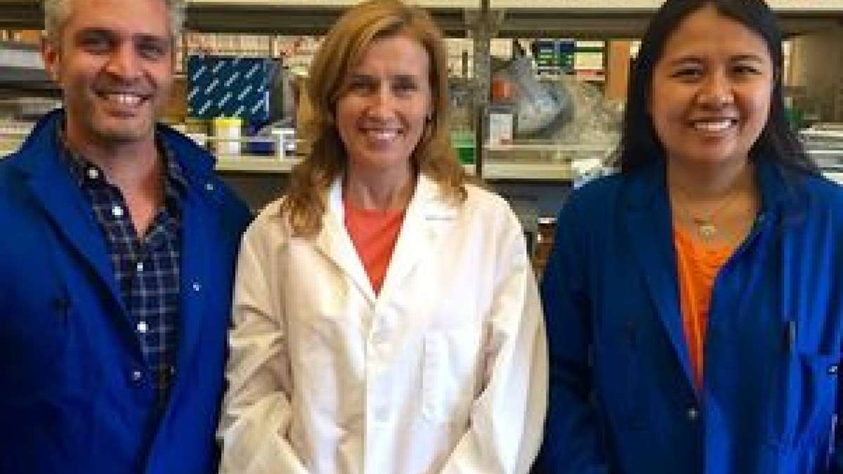 Stem cell advance could be key step toward treating deadly blood ...