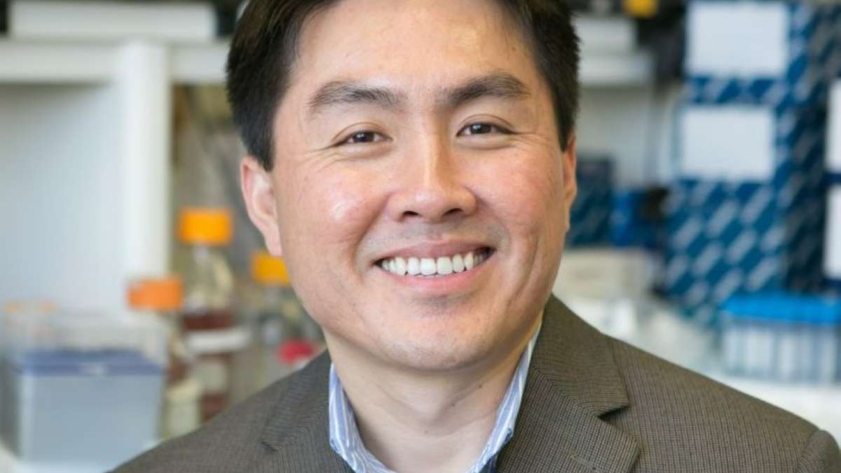 UCLA researcher receives prestigious grant to advance understanding of ...