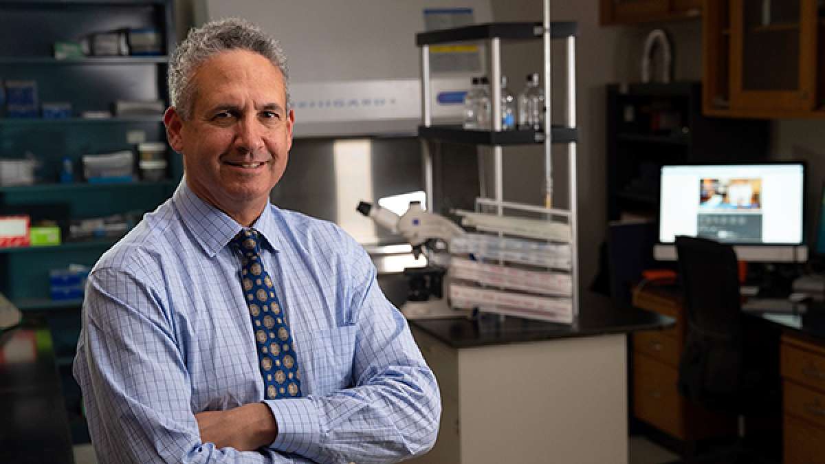 UCLA scientists develop high-throughput mitochondria transfer device ...