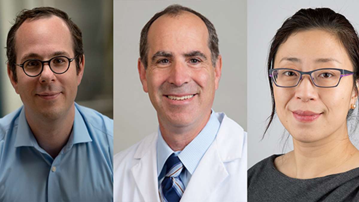 Cancer researchers awarded grant to study genomic alterations in ...