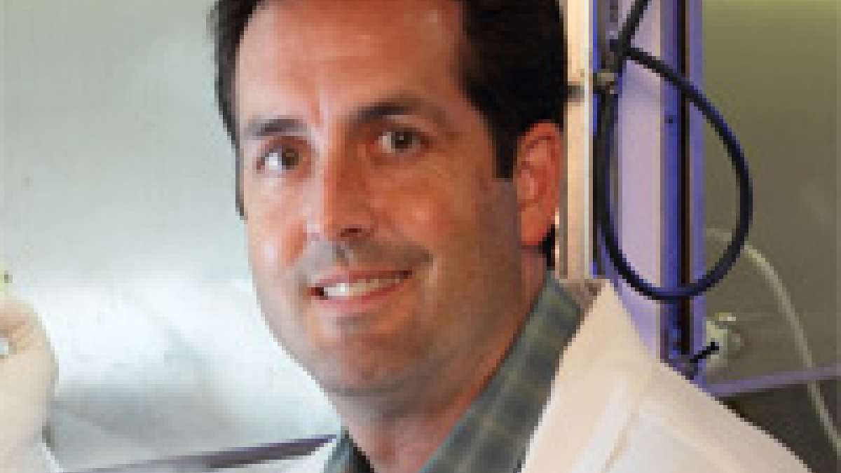 UCLA research shows why immune checkpoint blockade impedes but does not ...