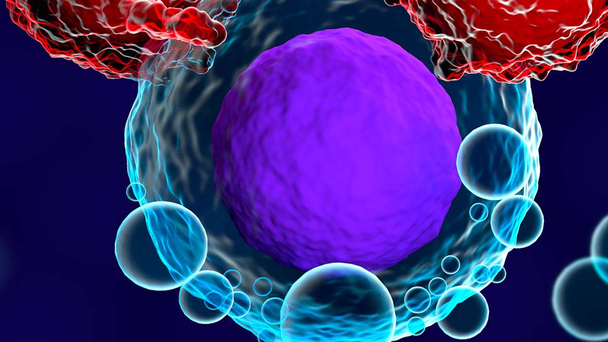 UCLA researchers engineer resistance-proof CAR T cells | UCLA Health