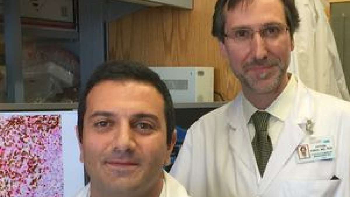 UCLA scientists discover why some patients respond to a life-saving ...