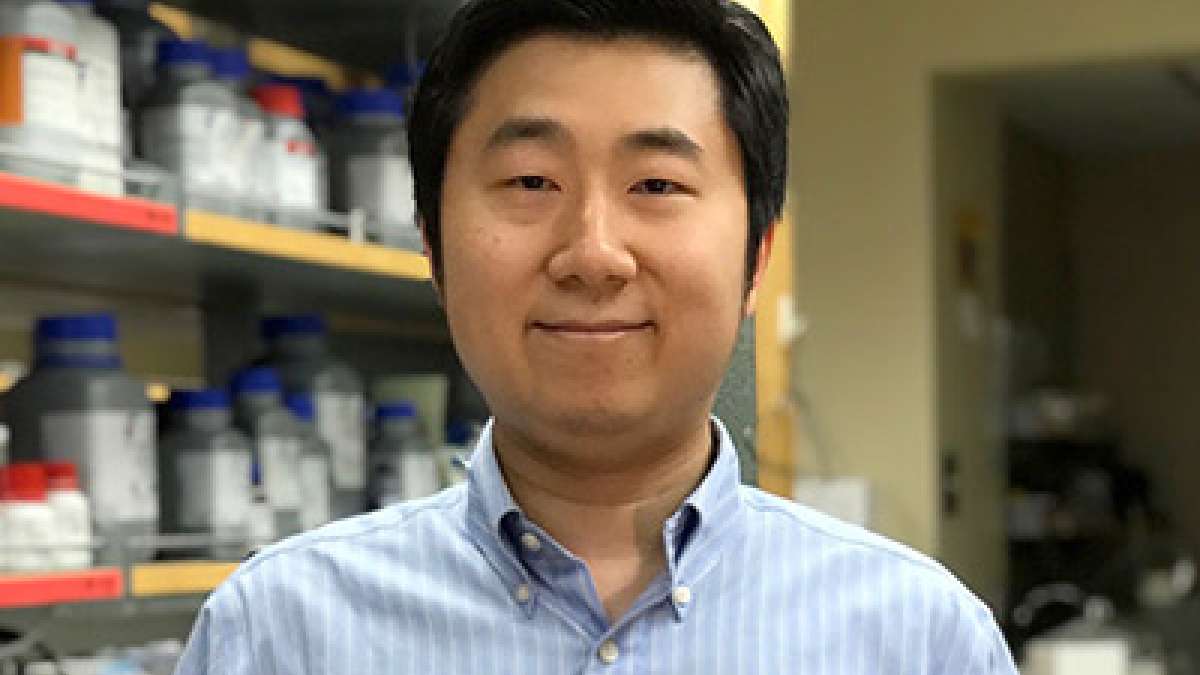 The brains of pairs of animals synchronize during social interaction ...