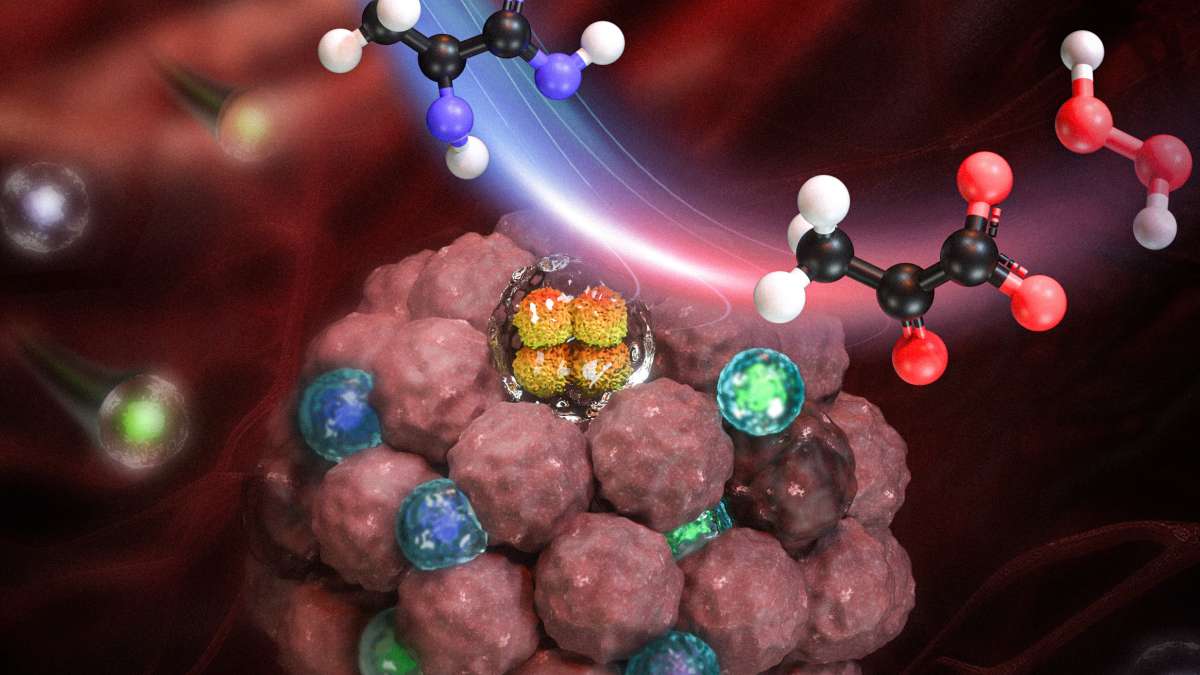 Drug-filled nanocapsule helps make immunotherapy more effective in mice ...