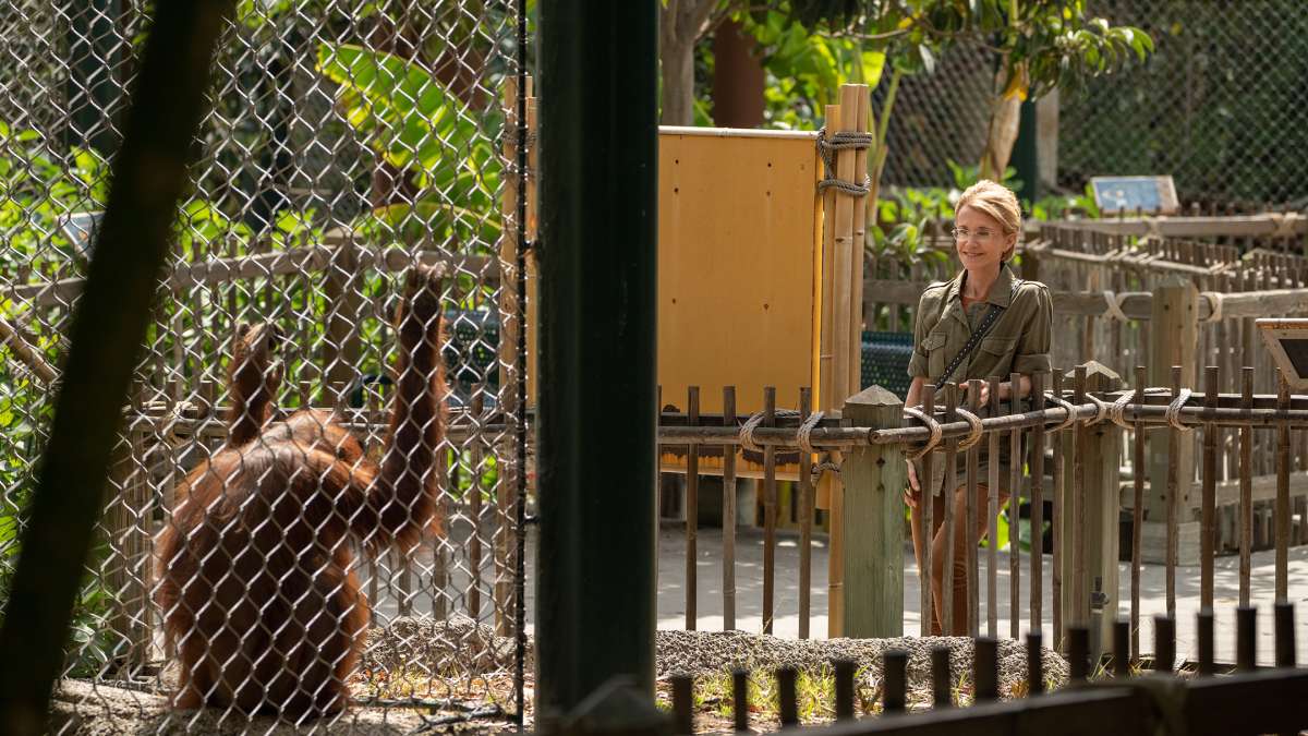 Feature: Talk to the Animals | UCLA Health