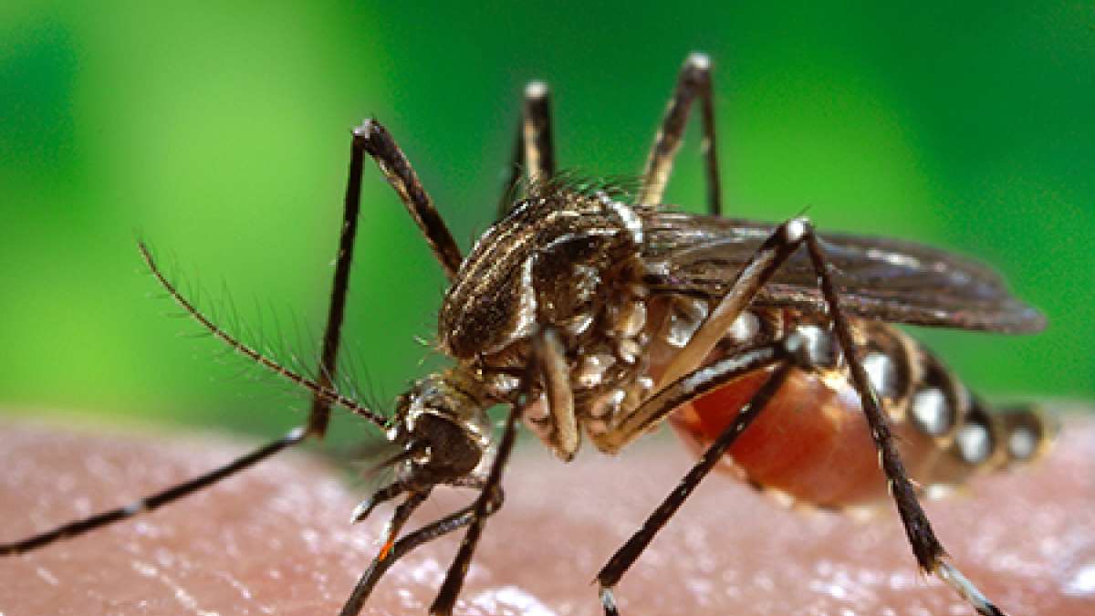A third of children up to age 3 exposed to Zika in-utero have ...