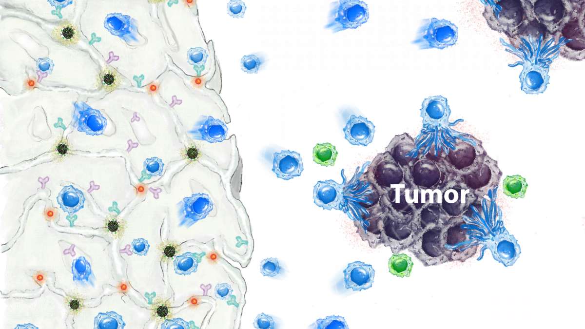 Tiny implantable device designed by UCLA scientists helps kill cancer ...