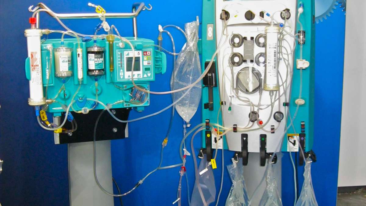 UCLA-led team develops an AI model that predicts Continuous Renal ...