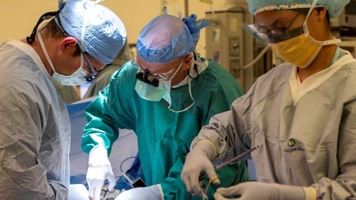 Innovative kidney vouchers expand access to organs | UCLA Health