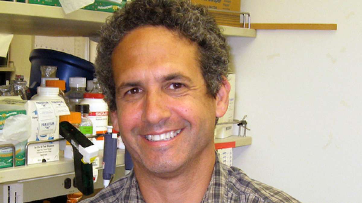 Researchers Discover New Signaling Pathway that Controls Cell ...
