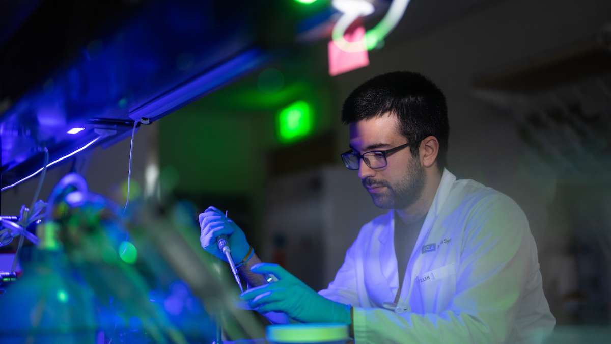 Over 3 dozen UCLA faculty ranked among the world’s most influential ...